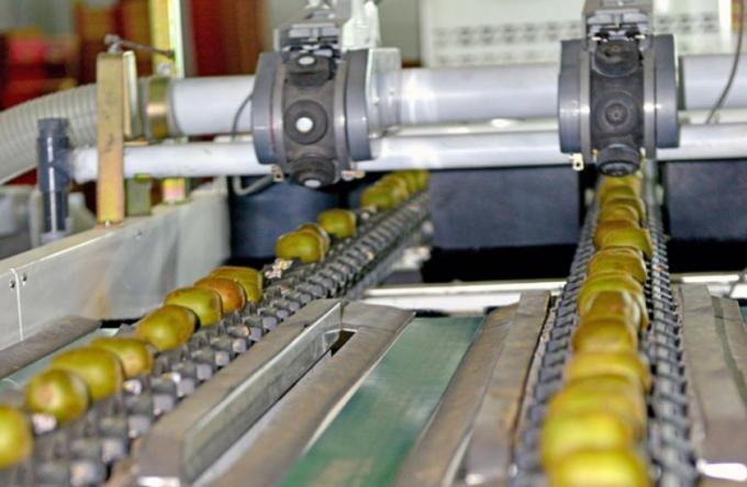 Automatic High Speed Fruit Labeling Machine